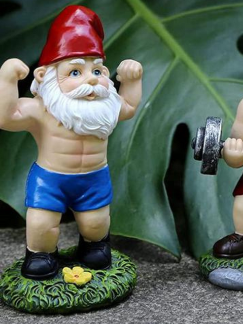 Nain De Jardin | Musclé – Adopte un nain de jardin